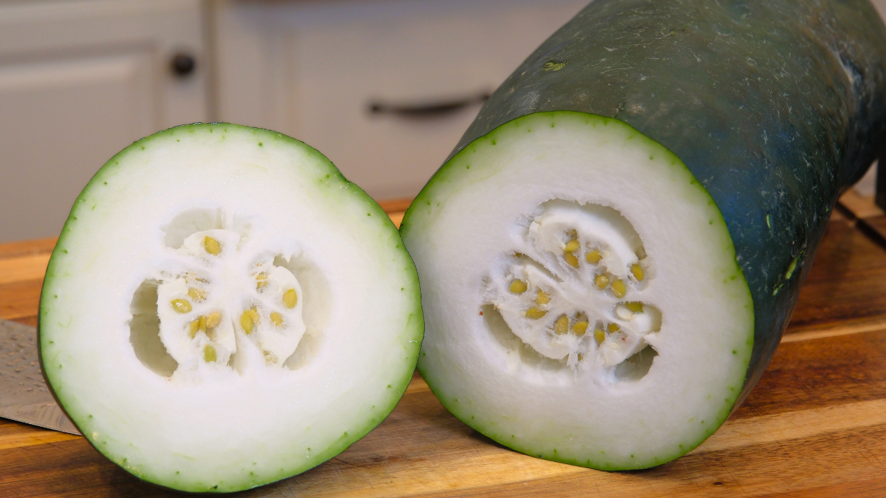What is Winter Melon and How to Cook it? – Curated Kitchenware